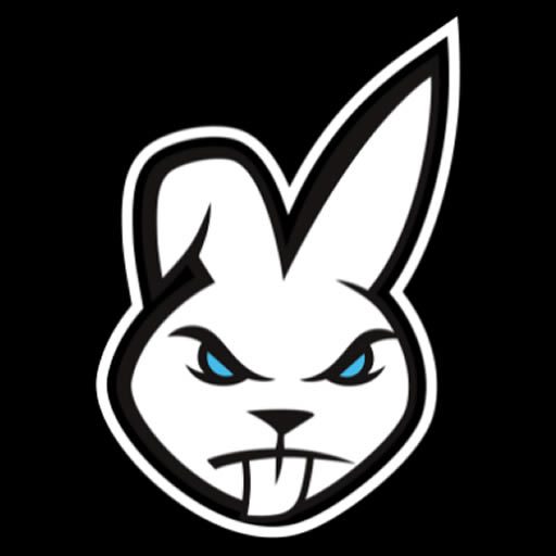 About Us - Shadow Rabbit Cyber